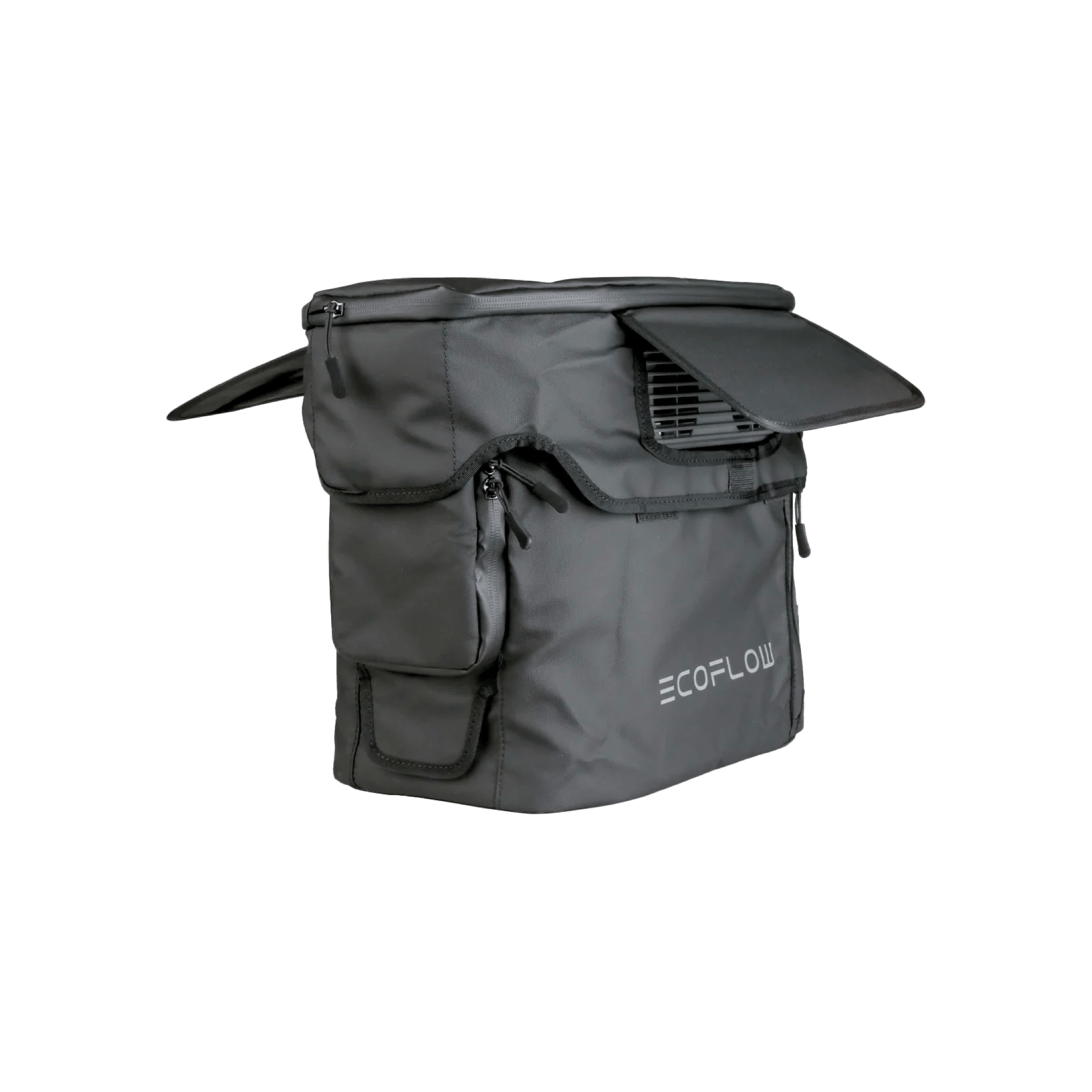 EcoFlow DELTA 2 Bag | EcoFlow South Africa